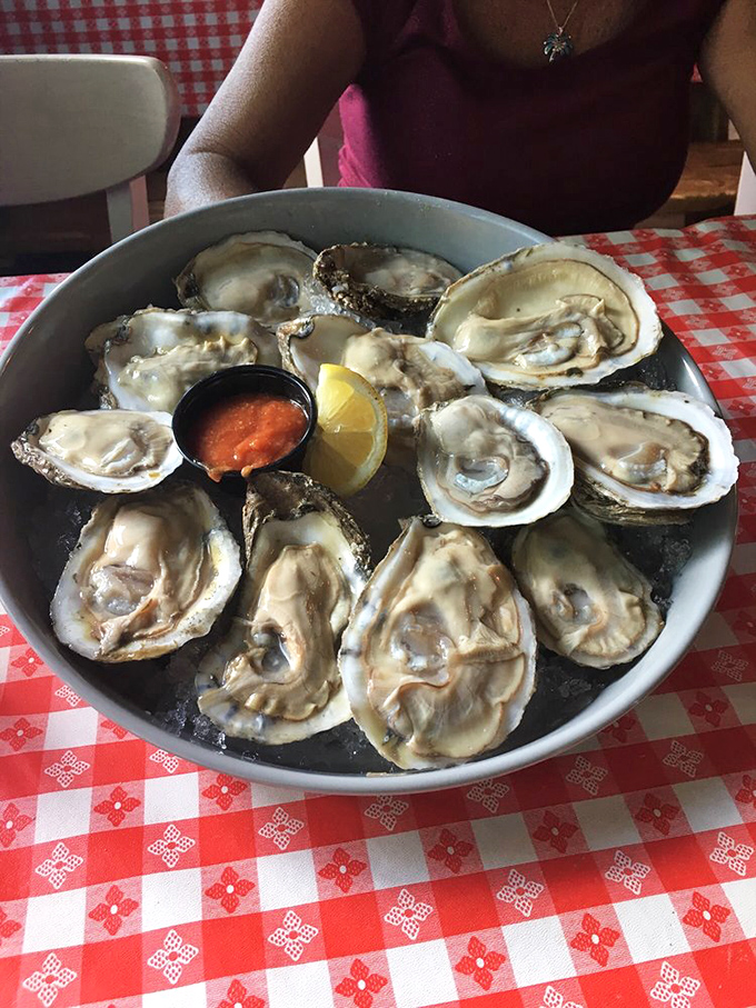 Fresh oysters on the half shell—nature's perfect appetizer. Each one a briny little taste of the Atlantic that needs nothing more than a squeeze of lemon.
