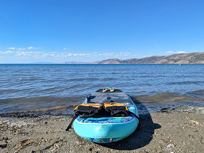 Adventure awaits at the water's edge. One paddleboard, endless blue horizons, and the strange sensation of floating on liquid sky.