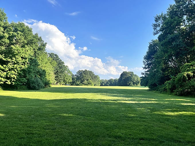 A clearing that whispers possibilities&mdash;picnics, frisbee, or just lying back watching clouds perform their slow ballet.