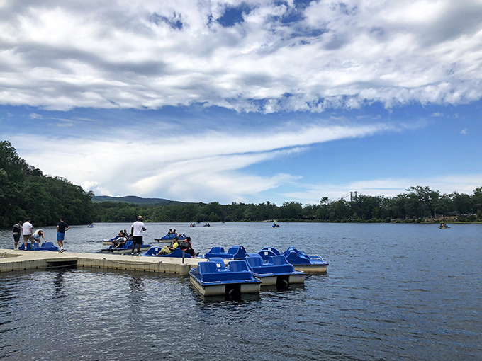 Paddle boats: where romance meets leg cramps. Nothing says "quality time" like navigating a blue plastic swan while pretending you're not exhausted.
