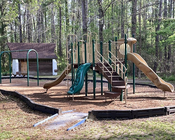 A playground where the soundtrack is birdsong instead of video game bleeps. Your inner child is already reaching for those monkey bars.