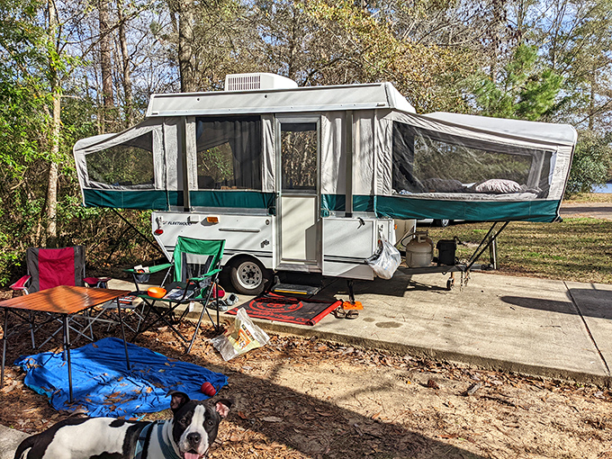 Camping Mississippi-style: where your pop-up becomes a lakeside penthouse and your dog silently judges your outdoor cooking skills from a comfortable distance.