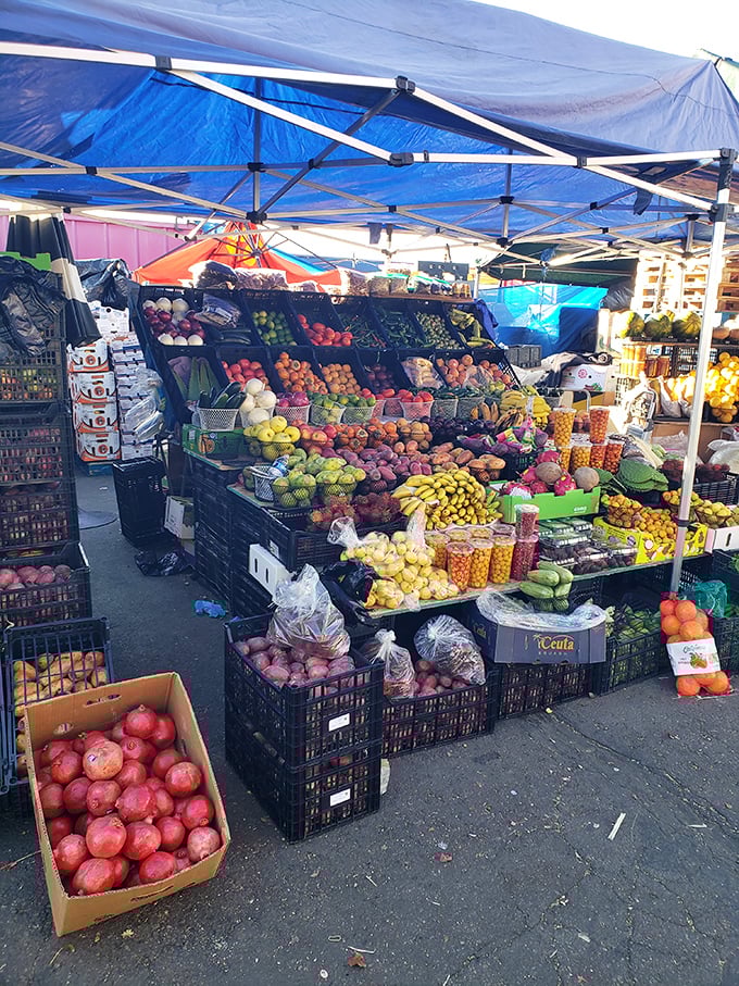 Nature's color palette on display &ndash; farm-fresh produce arranged in a rainbow of nutritional possibilities.