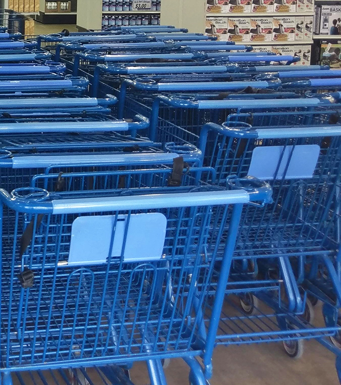 These aren't just carts &ndash; they're treasure wagons waiting to haul your finds back to civilization.