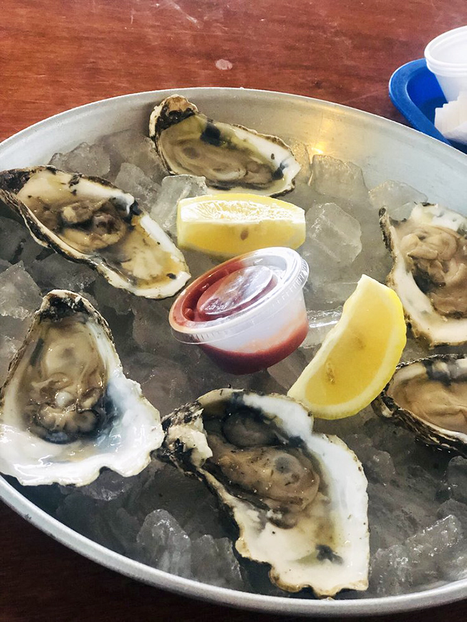 Each oyster sits like a jewel on its bed of ice, offering that perfect briny slurp that instantly transports you to the shoreline.