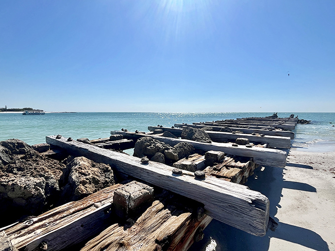 History washes ashore in weathered wood. These remnants of an old pier tell stories of fishing triumphs and the persistent patience of the Gulf.