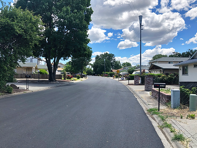 Tree-lined streets with actual parking spaces &ndash; a California miracle more impressive than any Hollywood special effect.
