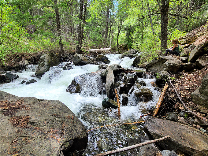 Nature's obstacle course &ndash; the creek tumbles over rocks with more enthusiasm than a puppy greeting you after work.