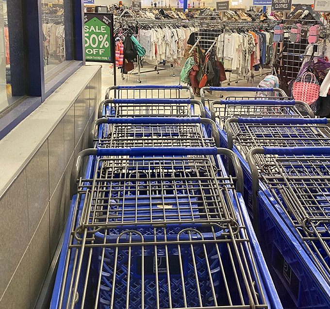Blue shopping carts stand at attention, ready for filling. The 50% off sign is the siren song of serious thrifters.