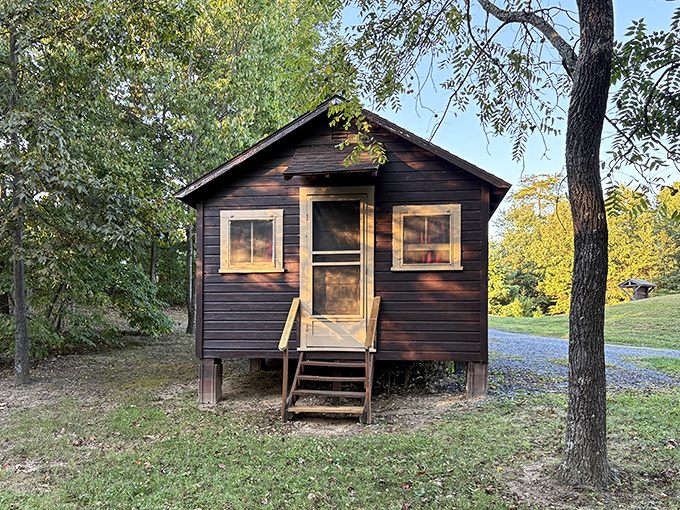Cozy cabins offer just enough comfort to feel civilized while still hearing nature's nightly symphony outside your door.