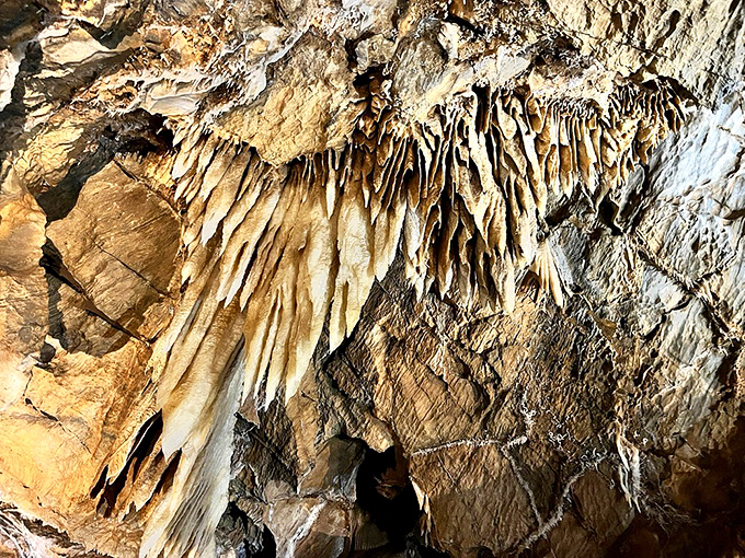 These golden-hued stalactites have been growing one drop at a time for thousands of years&mdash;talk about the ultimate slow-motion art project!