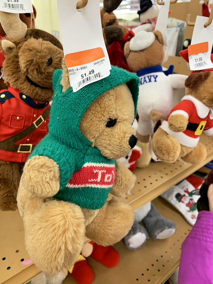 Meet the teddy bear brigade, each priced less than a fancy coffee, ready to bring comfort to new homes or spark joy as gifts.