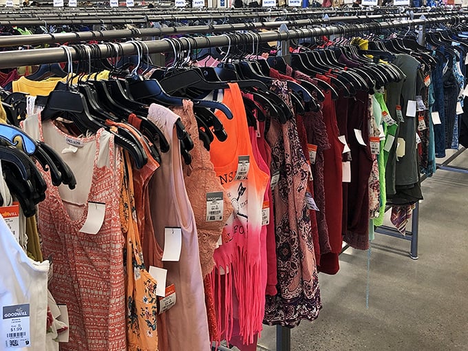 The jewelry display case showcases treasures behind glass, like a museum of affordable accessories. Indiana Jones would approve of this hunt.