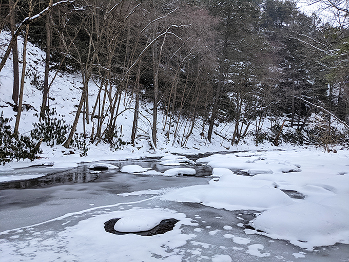 Winter's icy grip transforms the creek into a frozen masterpiece. Proof that Pennsylvania knows how to rock all four seasons with equal flair.