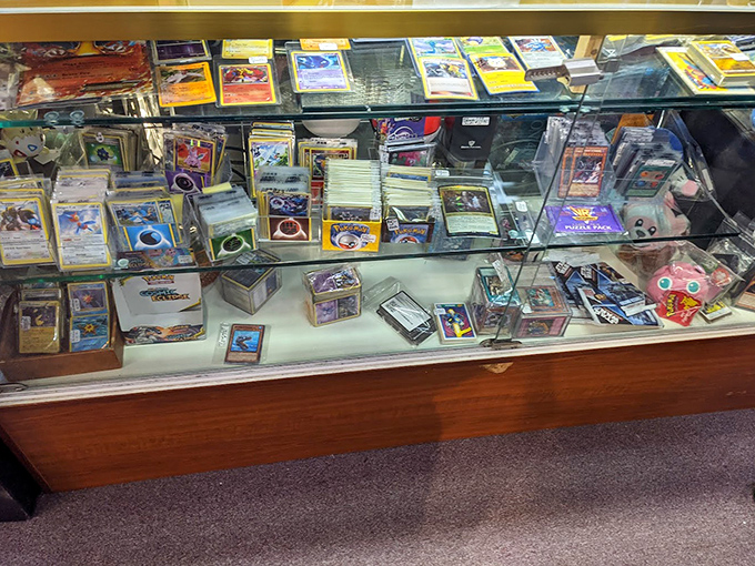 Pok&eacute;mon cards that might fund a college education someday, displayed with the reverence of ancient scrolls. Charizard, I choose you!