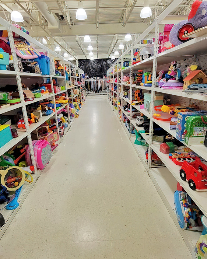 A toy aisle that rivals Santa's workshop, where plastic dinosaurs and dolls await adoption. Childhood memories line these shelves, ready to create new joy in different homes.