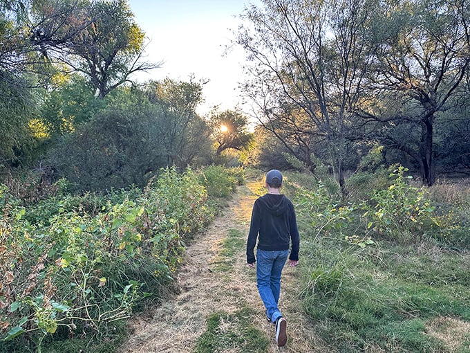 Morning trails beckon with golden light filtering through mesquite branches, promising encounters with wildlife that will definitely be checking you out too.