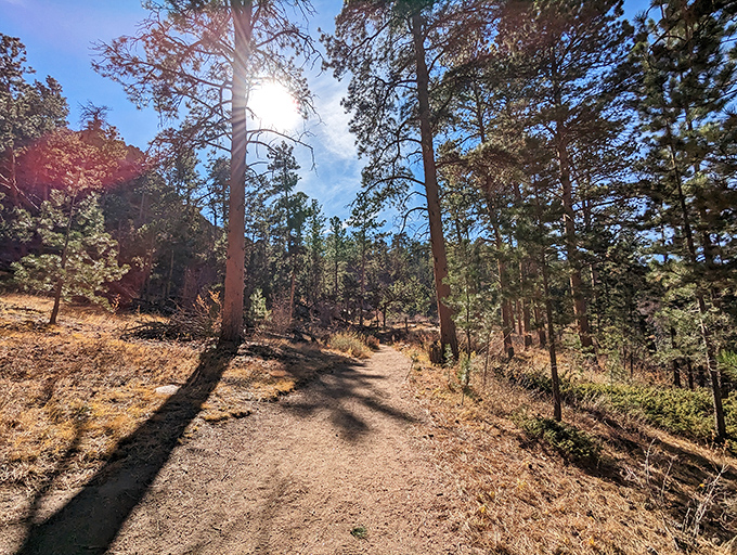 Dirt trails wind through pine forests, offering adventures that won't require a helicopter rescue but feel epic anyway.