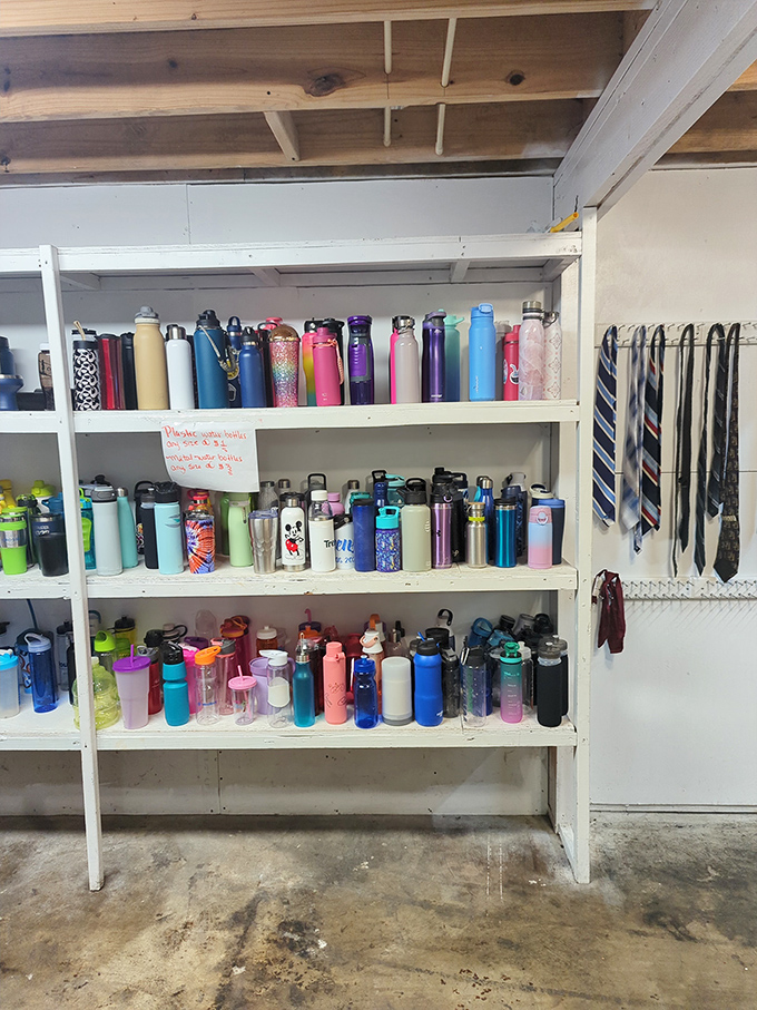 Water bottles and tumblers stand at attention like colorful soldiers &ndash; hydration options for every personality type in Florida's unforgiving heat.