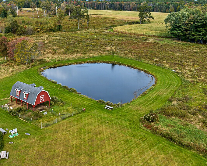 A red barn and pond that looks like it was commissioned by the Department of Retirement Daydreams. Norman Rockwell would add this to his cart immediately.
