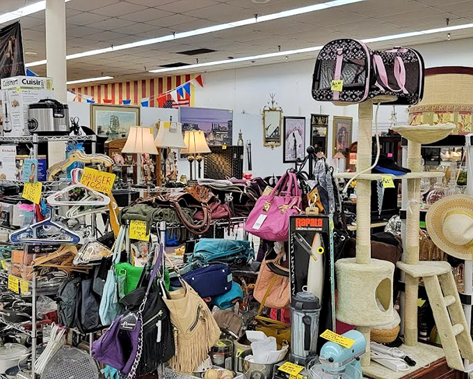 Organized chaos at its finest&mdash;where handbags, pet carriers, and lamps create a retail jungle gym. One person's clutter is another's perfect find.