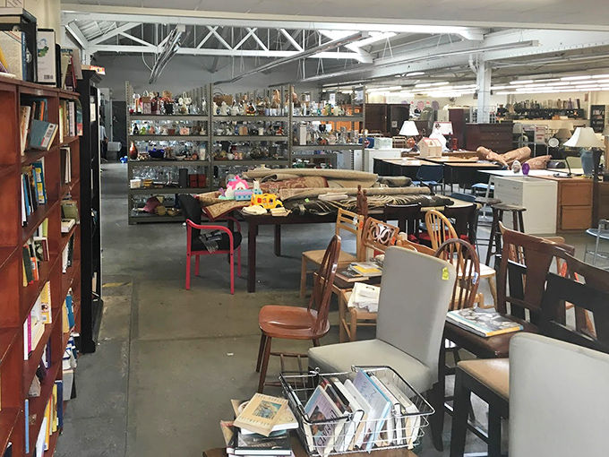 Books, furniture, and endless possibilities converge in this corner where bibliophiles and interior decorators find common ground.