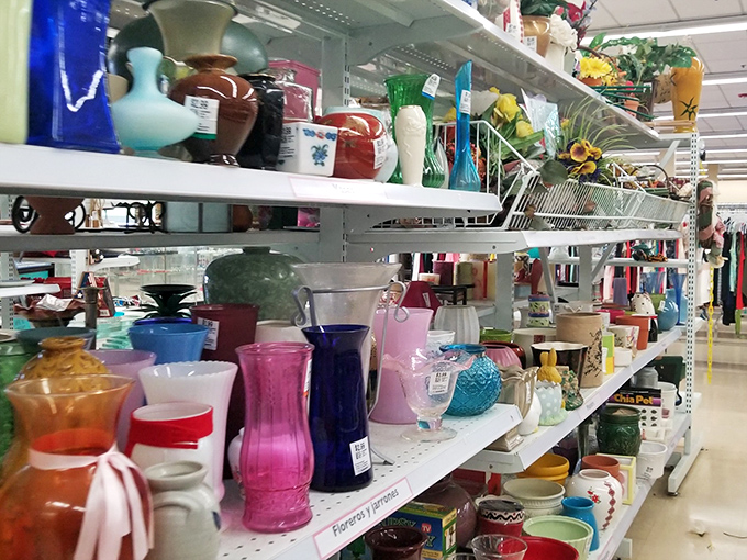 A rainbow of glassware stands at attention. These vessels have toasted anniversaries, held flowers from secret admirers, and are ready for their next chapter.