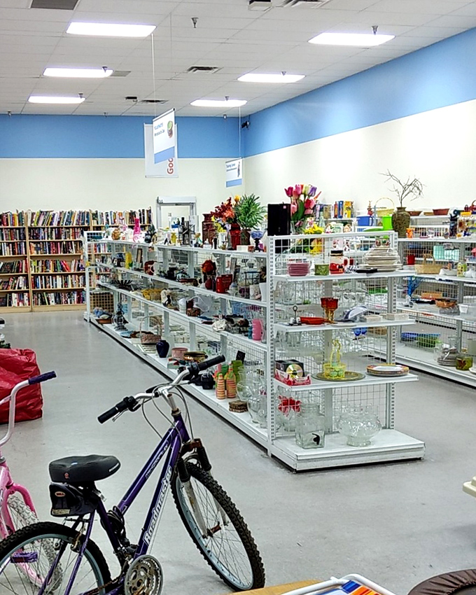 The housewares section: where someone else's "I don't need this anymore" becomes your "I've been looking everywhere for this!"