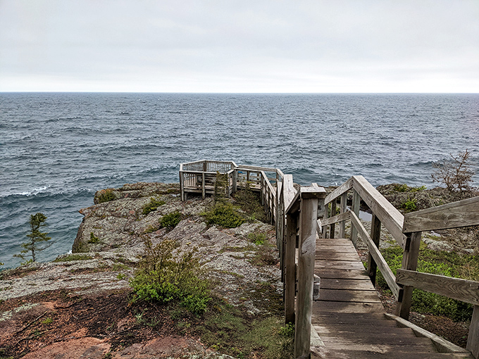 The viewing platform where even the most dedicated indoor enthusiasts suddenly become nature photographers. "Just one more shot" becomes the day's mantra.