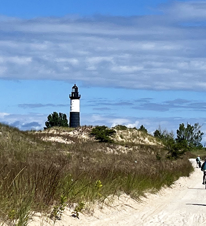There it is&mdash;standing tall against the dunes like a black-and-white exclamation point on nature&rsquo;s canvas.