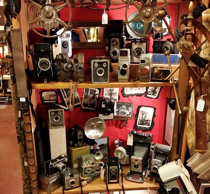 Vintage cameras capture more than memories&mdash;they freeze moments when photography required actual skill and patience.