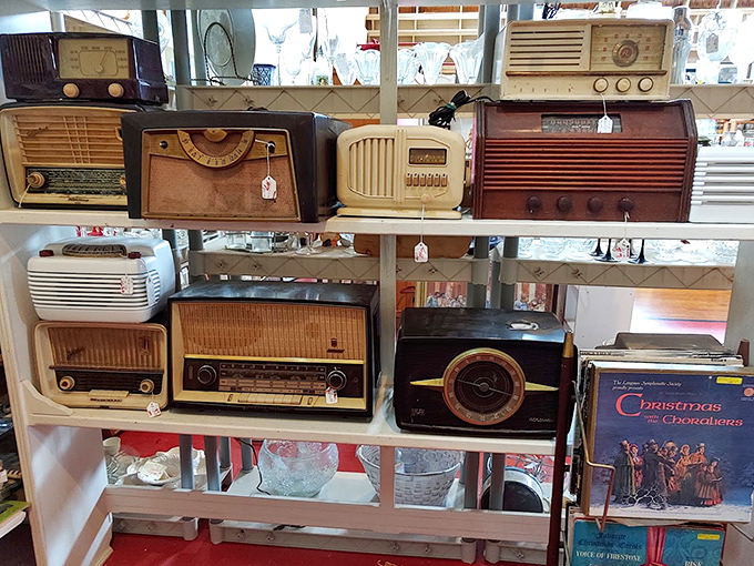 Vintage radios line these shelves like students in formation, each dial and speaker ready to broadcast memories from decades past.