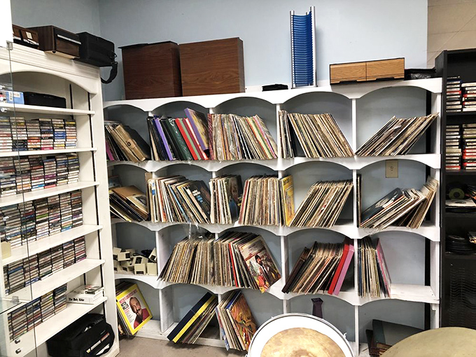 Vinyl heaven for analog souls. These shelves hold the soundtrack to someone's youth, ready to spin memories for a new listener.