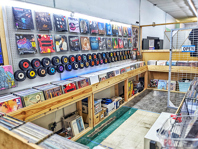 A vinyl lover's paradise where albums are displayed like fine art, with singles mounted on the wall above crates of musical history.