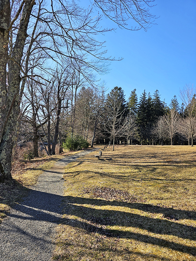 The path less traveled beckons – this winding trail promises the kind of peaceful solitude that modern life makes us forget we need.