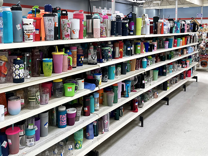 The water bottle aisle &ndash; where hydration meets self-expression and yesterday's promotional swag becomes tomorrow's prized possession.