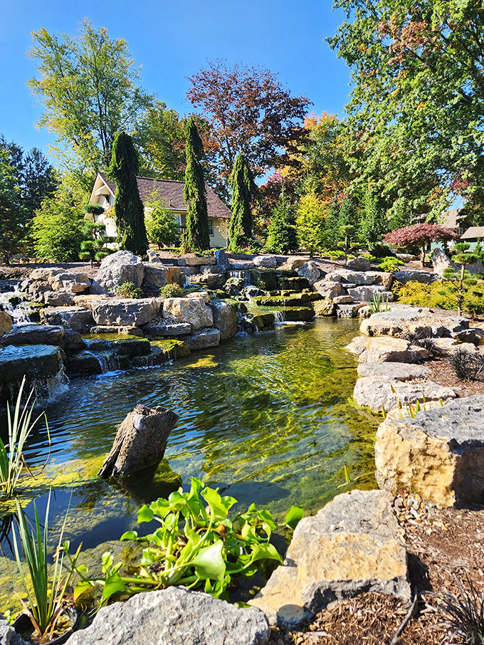Crystal clear waters cascade over meticulously placed stones, creating a pond so serene you'll want to pull up a chair and cancel all appointments.