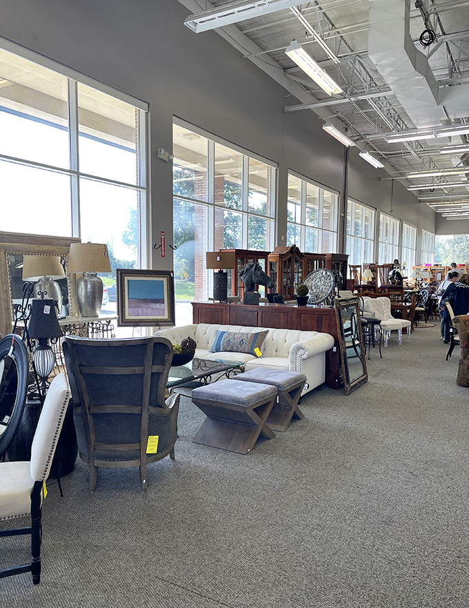 Natural light floods the showroom, illuminating possibilities for your living room that HGTV hosts would approve of immediately.
