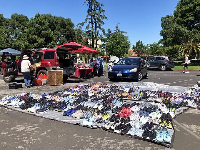 Shoes spread out like a rainbow of possibilities, each pair with its own untold story.