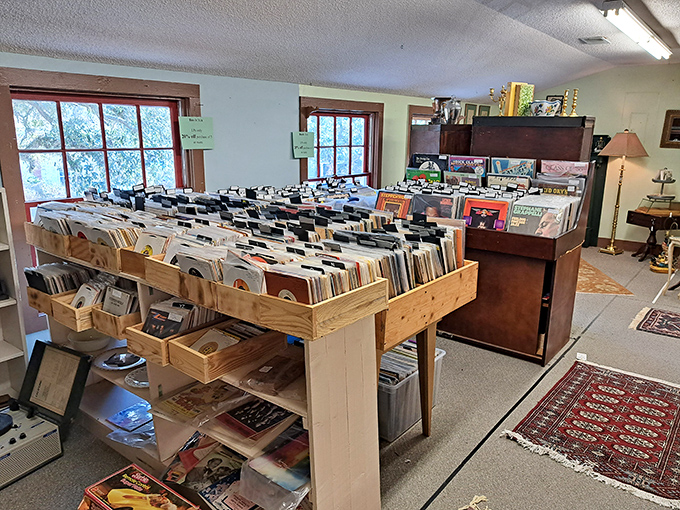 Vinyl paradise where album covers alone transport you back to when music came with actual artwork.