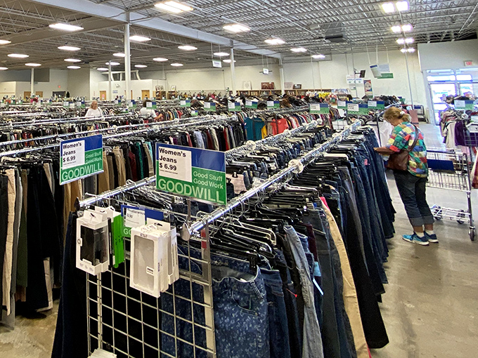 Women's jeans lined up like soldiers at attention, each pair with secret histories and future possibilities at $4.99.