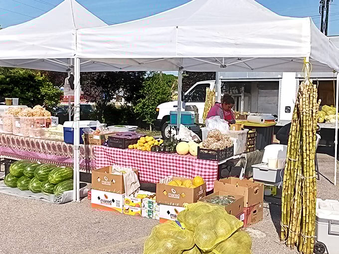 The 8th Ave Flea Market's straightforward approach proves that sometimes the best deals come without fancy packaging.