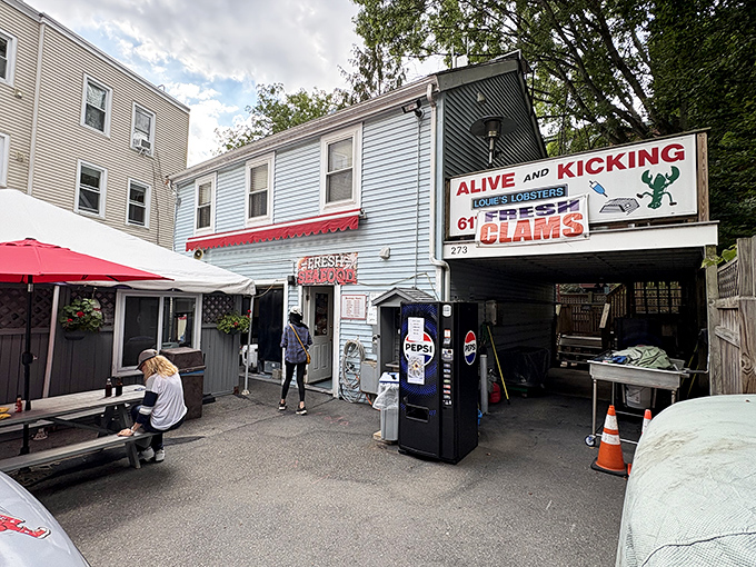 Alive & Kicking Lobsters: The blue house that launched a thousand lobster sandwiches. Cambridge's most delicious hidden gem.