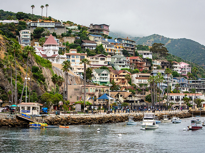 Avalon's hillside homes cascade toward the harbor like a colorful game of architectural Tetris.