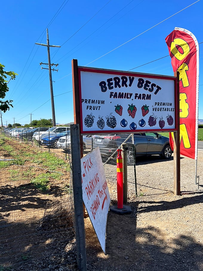 Berry Best indeed! This colorful sign and vintage truck combo screams "authentic farm experience ahead!"