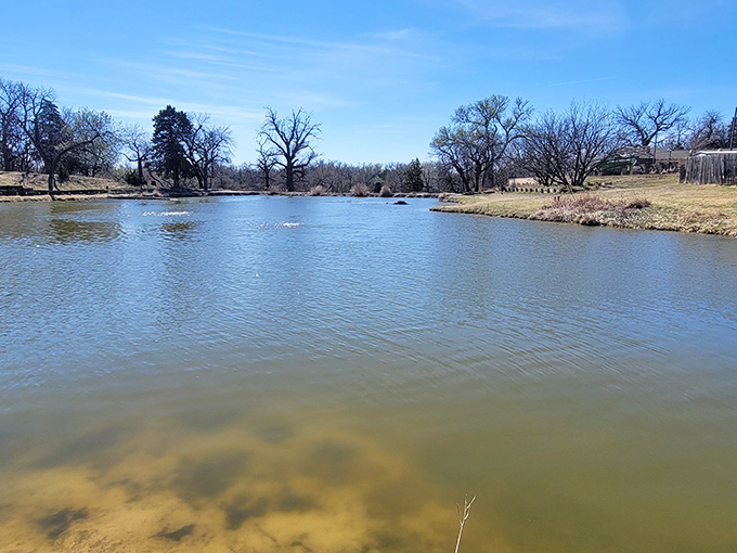 Prairie waters reflect clouds like nature's own meditation pool, peaceful as Sunday morning coffee.