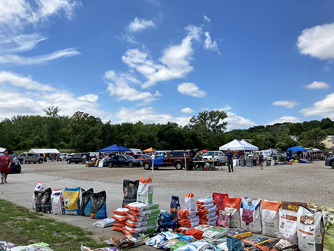 Nothing beats the thrill of outdoor treasure hunting where every vendor space holds potential surprises and amazing deals.