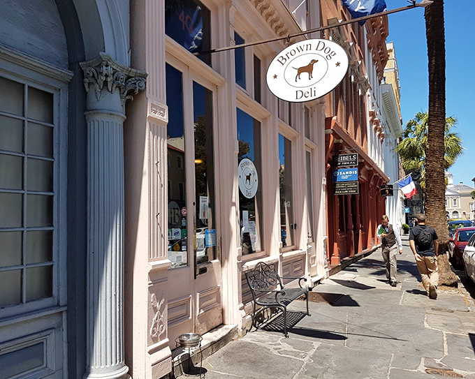 Brown Dog Deli's charming historic storefront fits perfectly into Charleston's architectural tapestry, while its dogs fit perfectly in your hand.