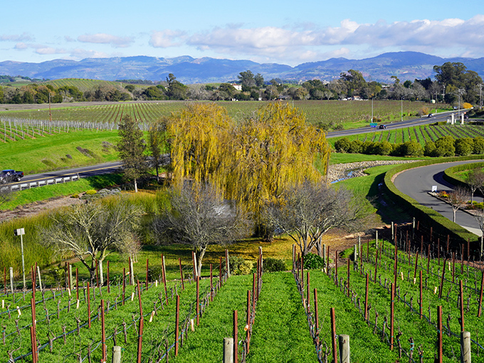 Champagne dreams with California sunshine! This ch&acirc;teau makes you feel like you've teleported straight to France.