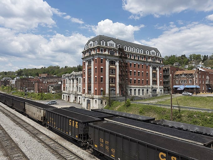 Grafton's riverside location offers front-row seats to nature's daily show, completely free of charge.